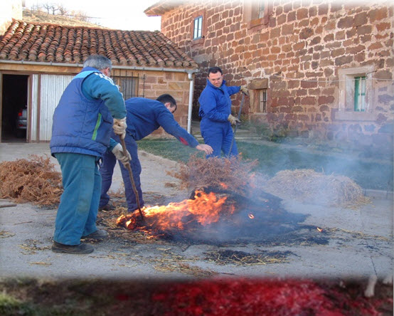 ahumando para purificar la piel de la pelambrera chamuscarle se le ...